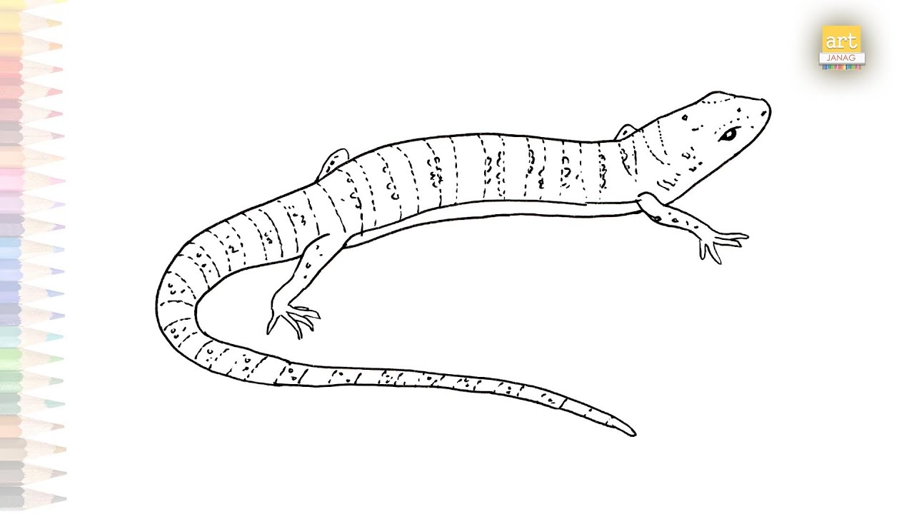 Gecko drawings video | Lizard drawings | How to draw A Gecko step by ...