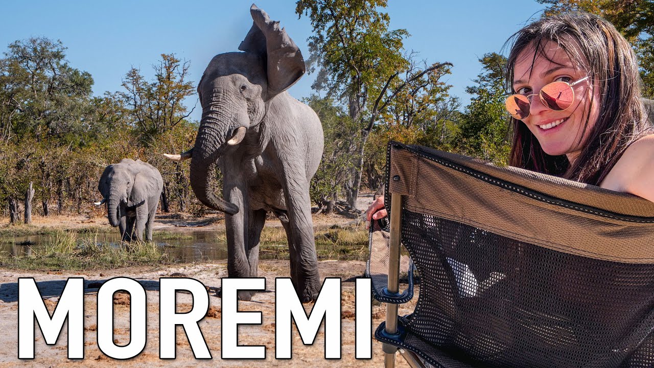 Is An Okavango Delta Safari in Moremi, Botswana Worth It? - YouTube