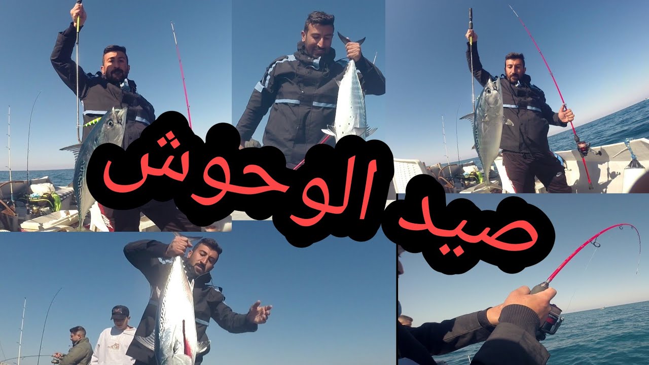 صيد الوحوش الصيد البحري في لبنان fishing in Lebanon big fish bonito ...