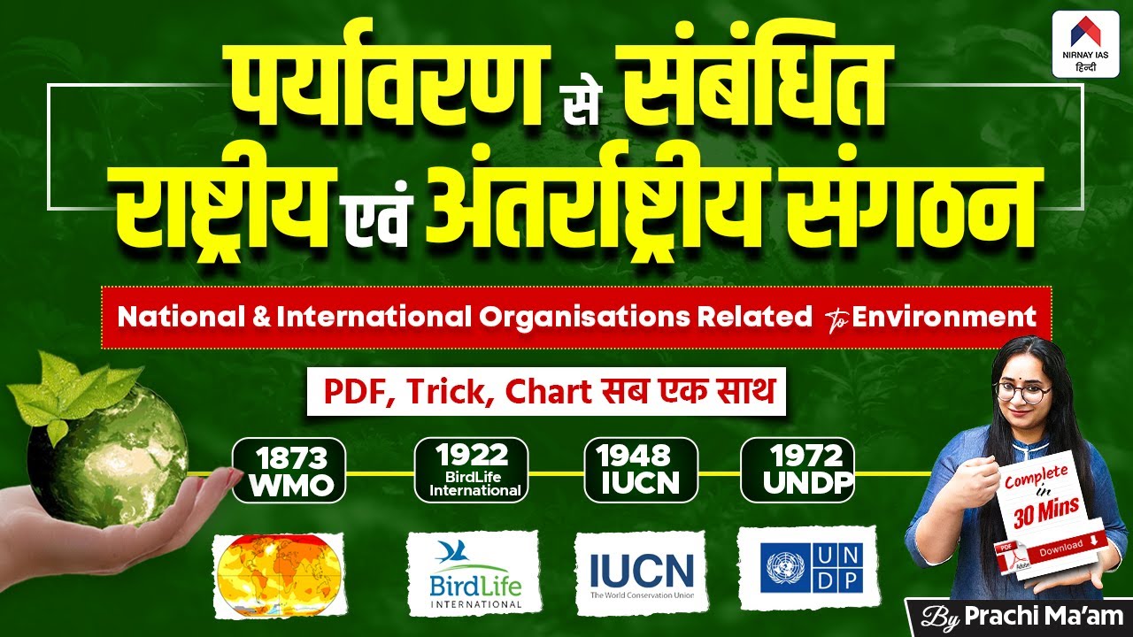 Environmental Organizations in 30 Minutes | International and National ...