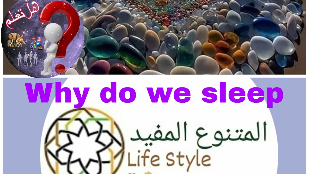 Why Do we sleep - YouTube