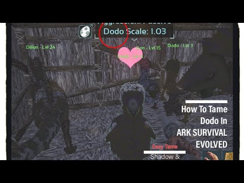 How To Tame Dodo In ARK SURVIVAL EVOLVED - YouTube