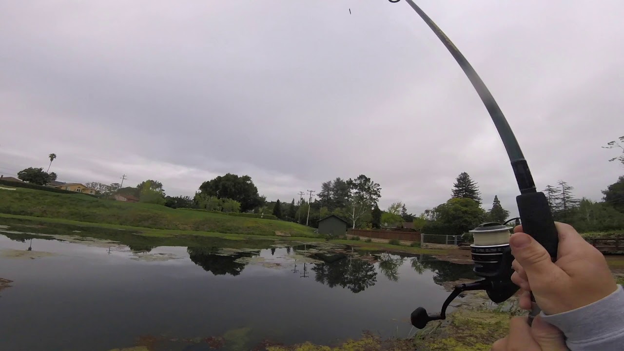Golf Course Fishing Pt 3 - YouTube