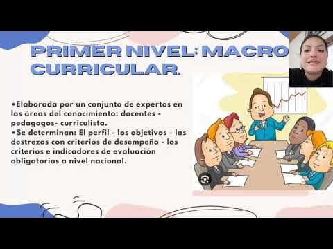 Nicole Pizarro Niveles de planificación curricular (macro, meso y micro) del sistema nacional ...