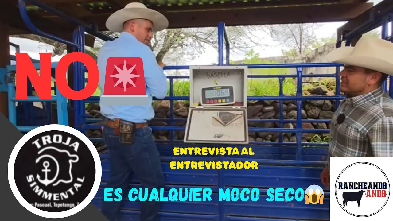 ENTREVISTA A RANCHEANDO ANDO 🤠 #ganaderos #ganado #campo #rancho # ...