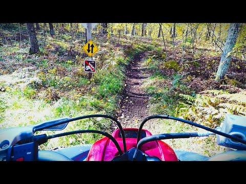Taking The Tight Trail M-20 Whitecloud, MI