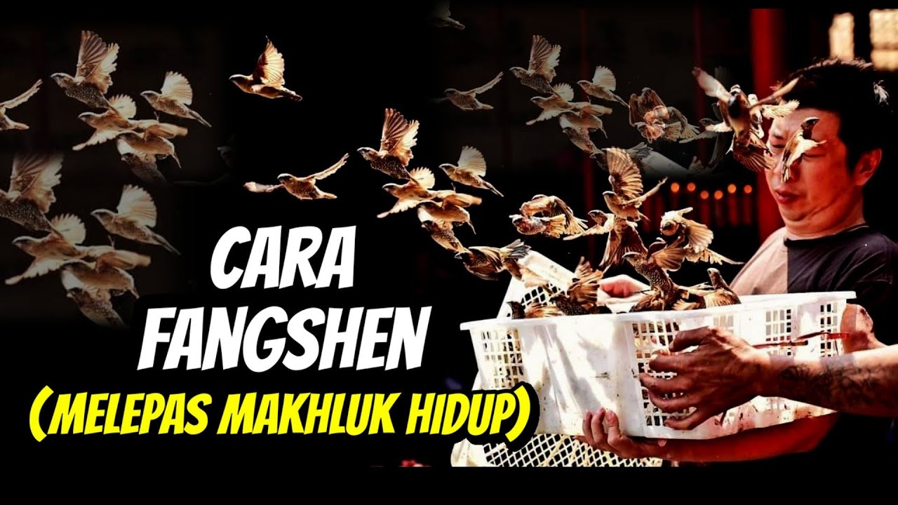 CARA FANGSHEN ( MELEPAS MAKHLUK HIDUP) MAKNA FANGSHEN @Sadhuchannel ...