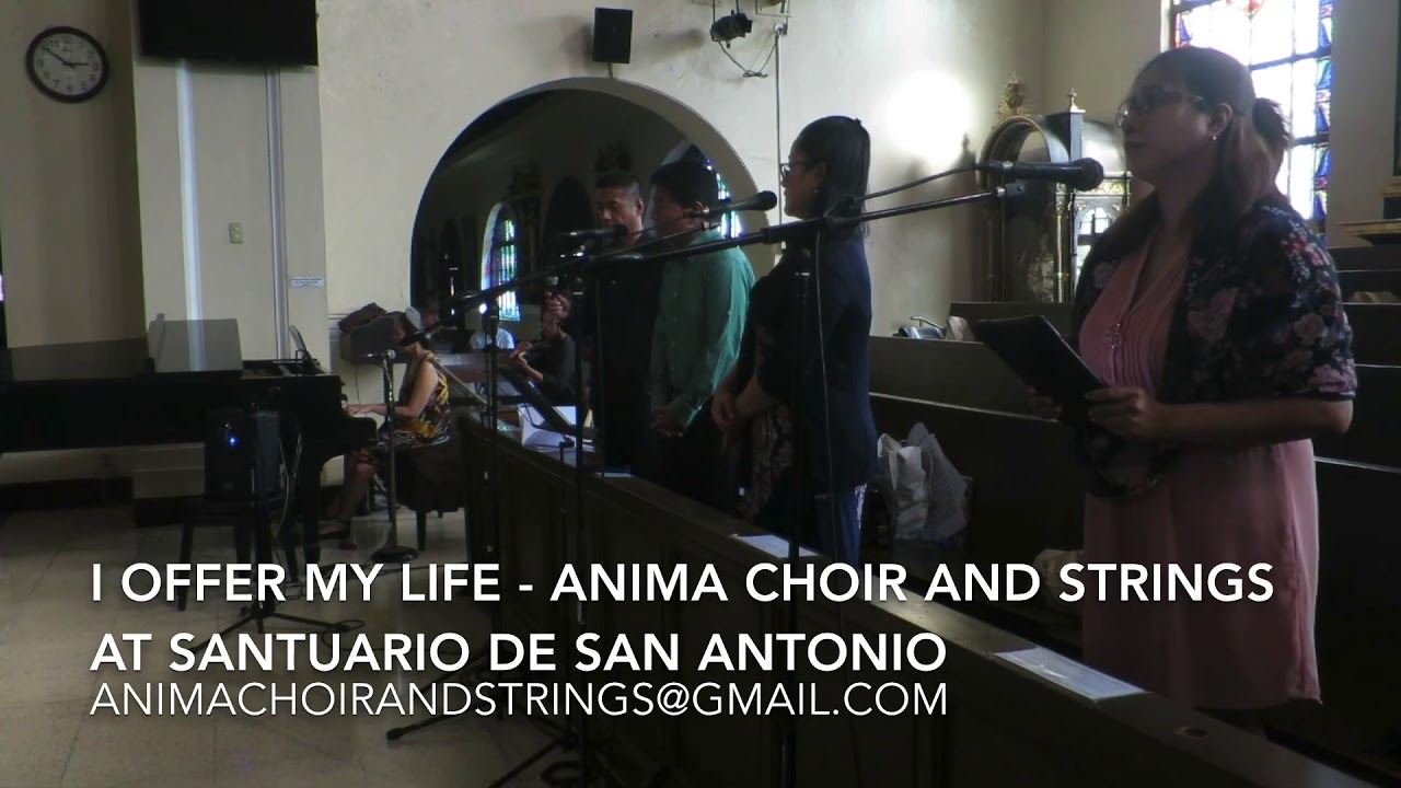 I Offer My Life cover by Anima Choir and Strings at Santuario de San Antonio - YouTube