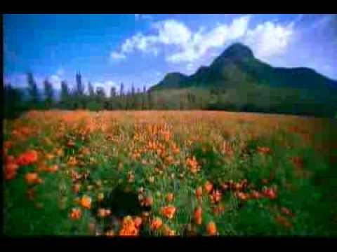 Nutrilite Health Institute MultiAds - YouTube