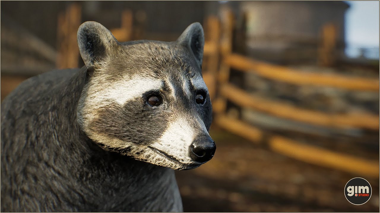 Raccoon animation preview - YouTube
