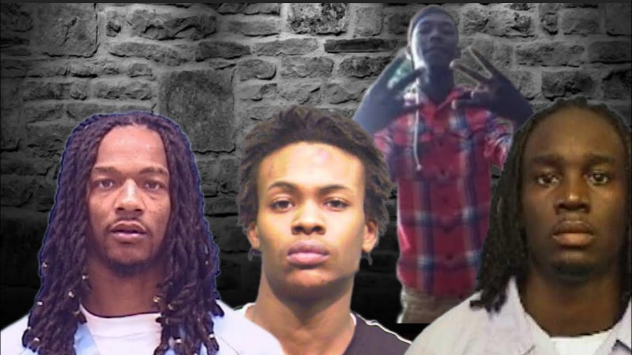 Will we ever get the truth of who really made Tookaville - YouTube