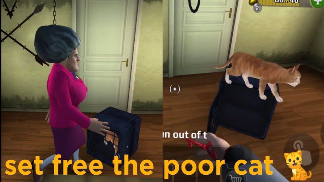 scary teacher 3d | set free the poor cat | set free the poor cat from ...