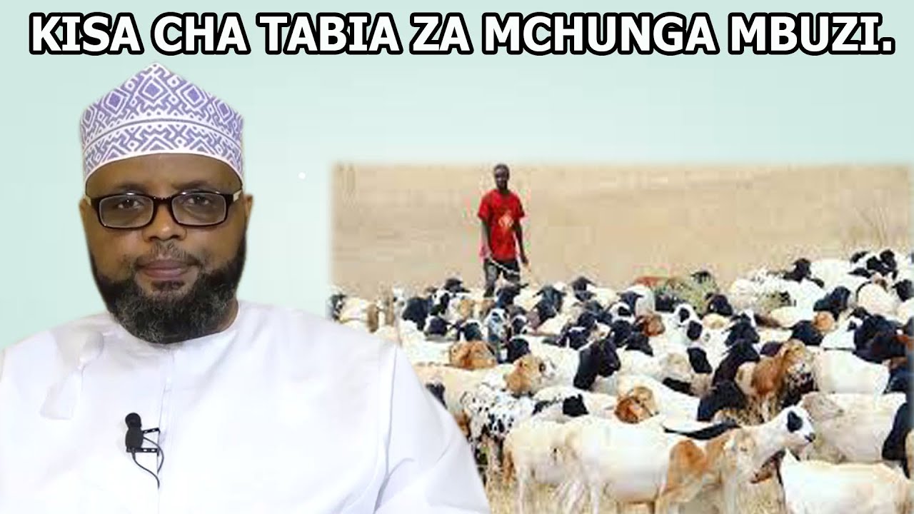 KISA CHA TABIA YA MCHUNGA MBUZI// SHEIKH OTHMAN MAALIM - YouTube