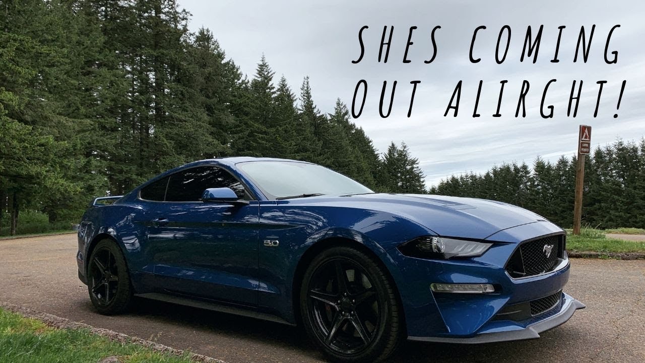 Adding More Mods To My Mustang - YouTube