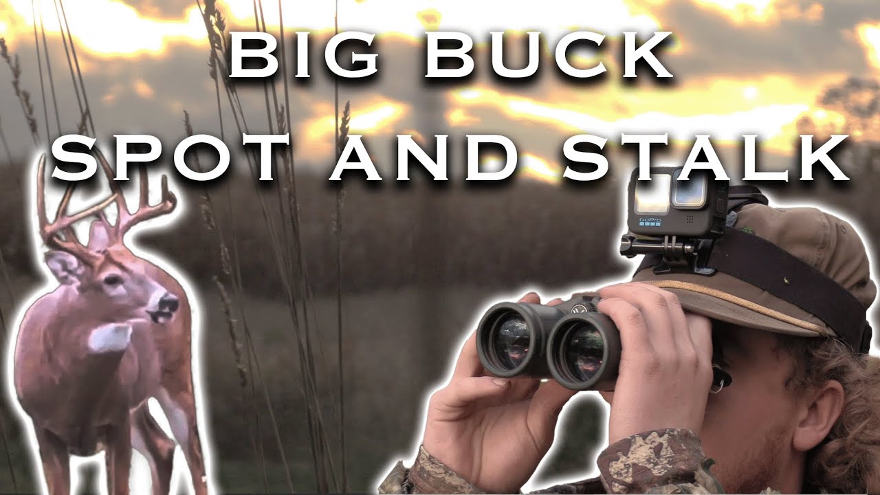 WE PUT THE STALK ON A BIG BEDDED BUCK - YouTube