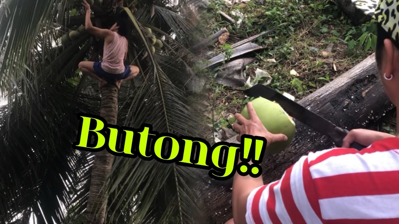 Part 1 | Lamaw og Butong | Kinabuhi sa Among Probinsiya. - YouTube