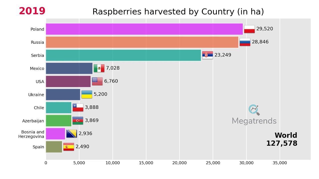 Top 10 Countries by Area Harvested of Raspberries (1961 - 2019) - YouTube