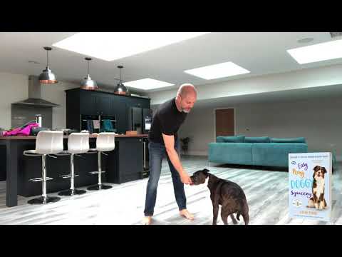 Quick tips & benefits to teaching your dog The Nose Touch - YouTube