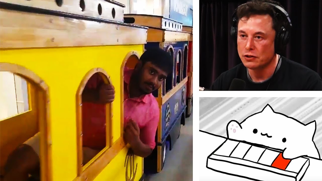 Once again making weebs angry! | Elon Musk is a cyborg | Meme Review ...