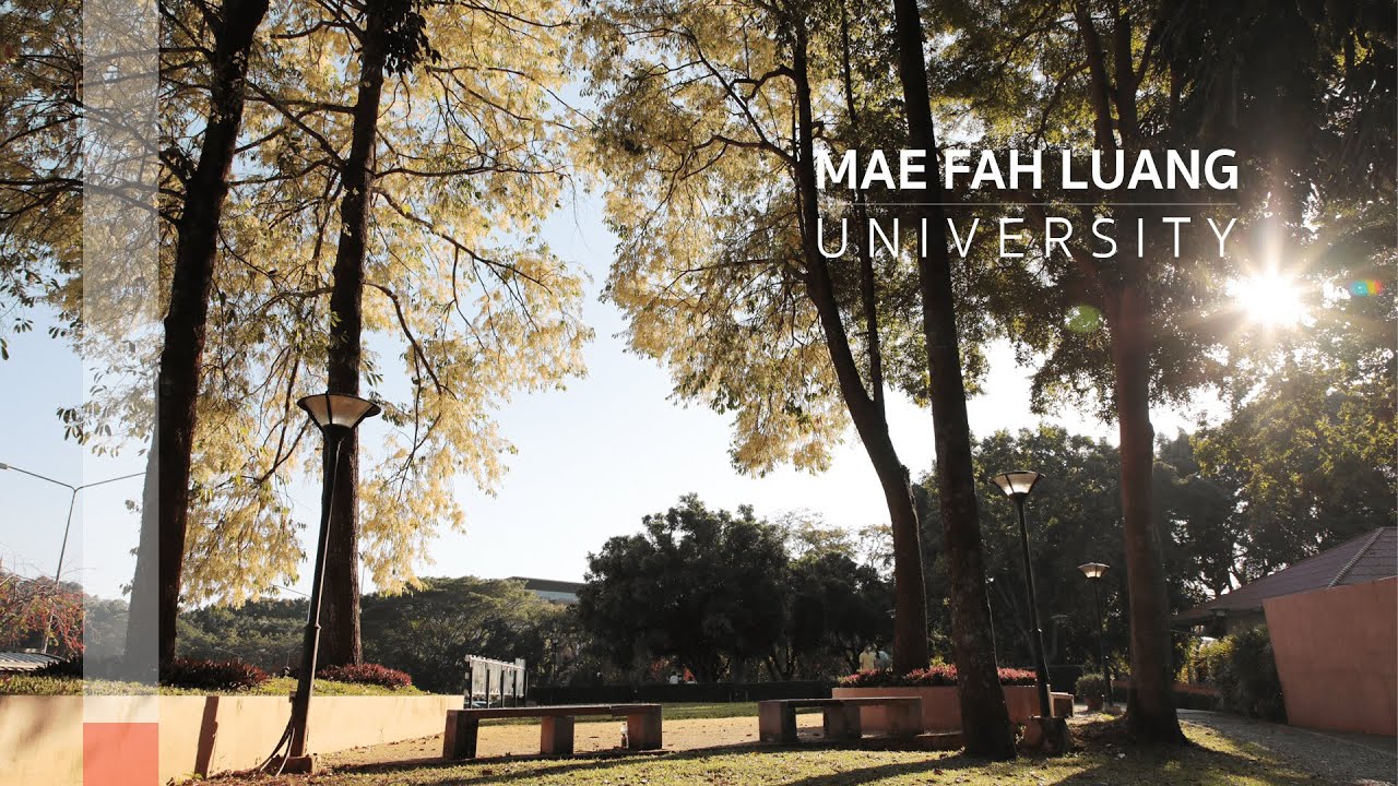 MFU: Leading University with International Recognition - YouTube