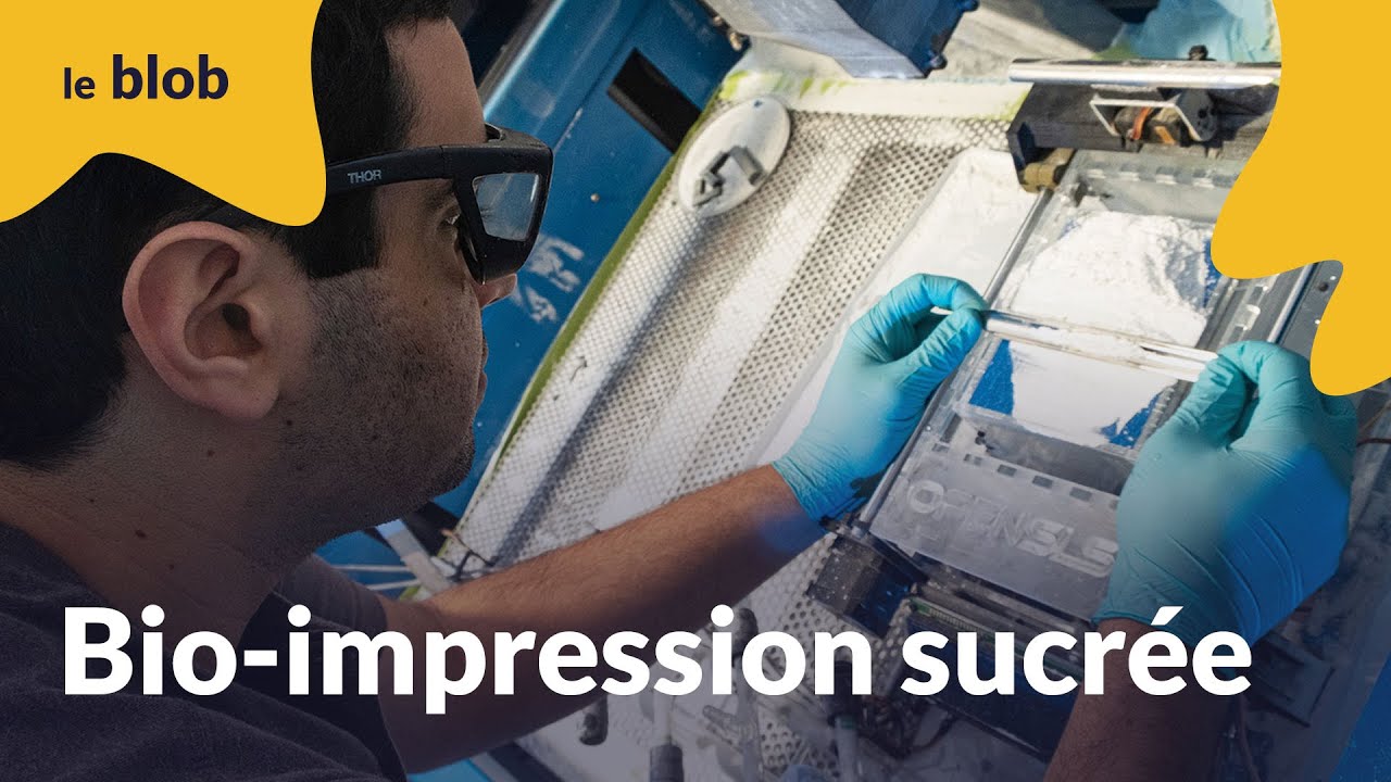 Bio-impression sucrée | Actu de science - YouTube