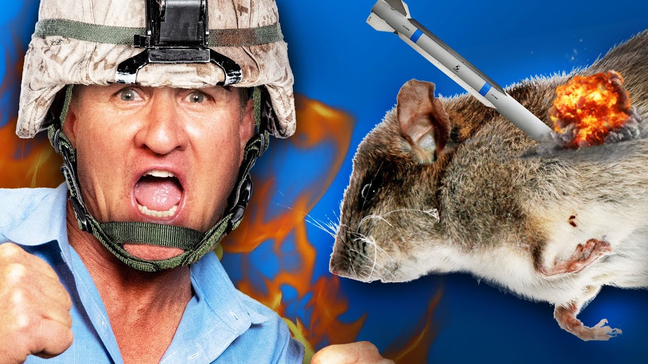 How to GET RID OF RATS in your kitchen...FAST! RAT WARZONE!! - YouTube