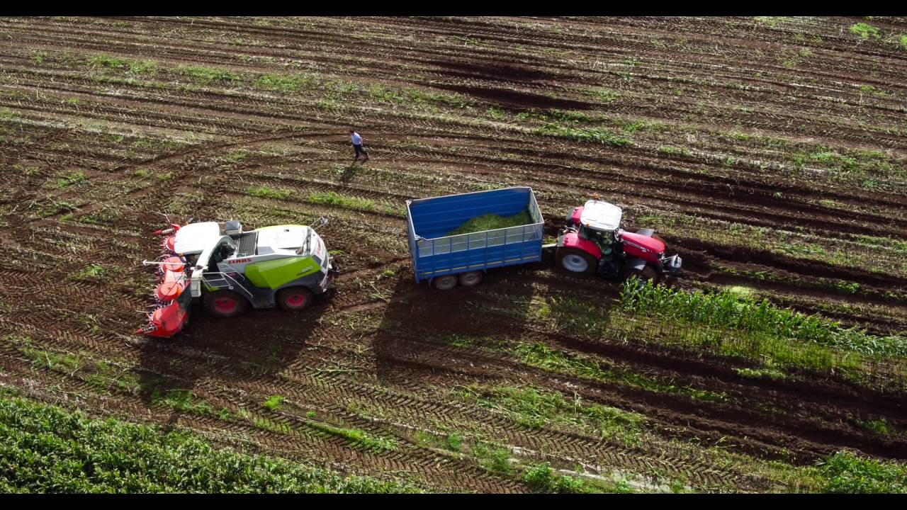 Mark Troy Maize 2016 - YouTube