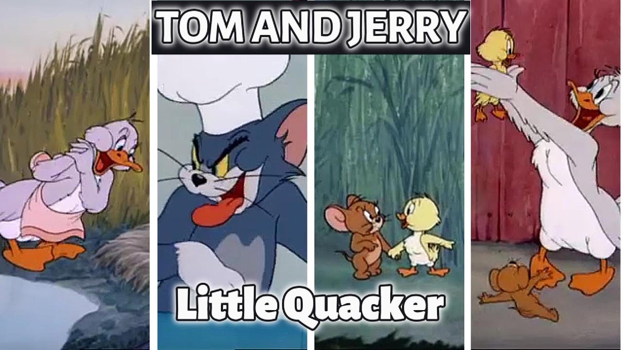 Tom and jerry, Little Quacker | part 2 | tom and jerry cartoon ...