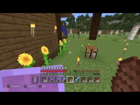 Minecraft some of my villagers are still in panic mode - YouTube
