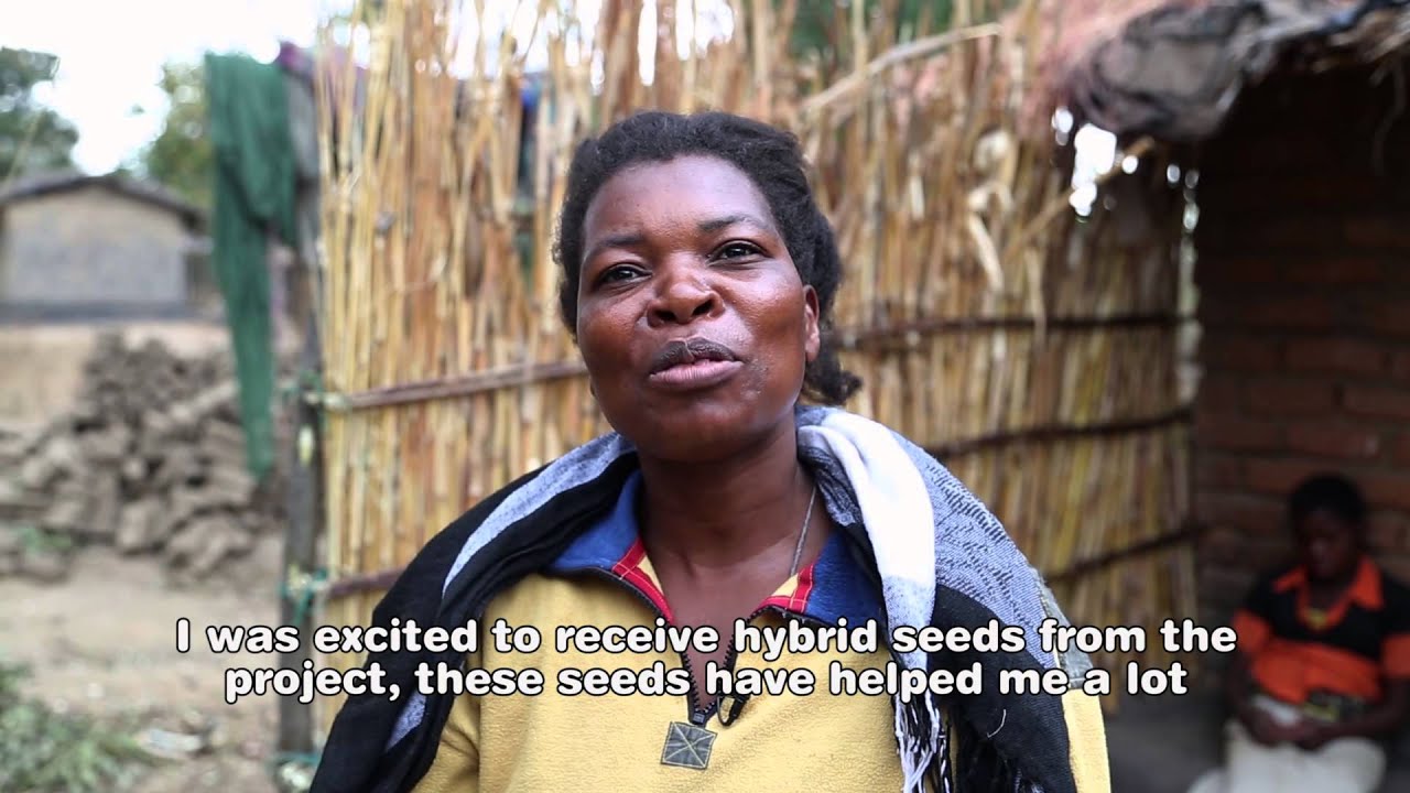 The Ladder of Life: Rose Chidoti's story - YouTube