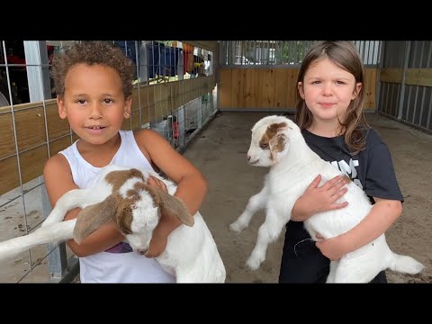 Brynleigh meets Chip and Roxy! #flipflopfarmer - YouTube
