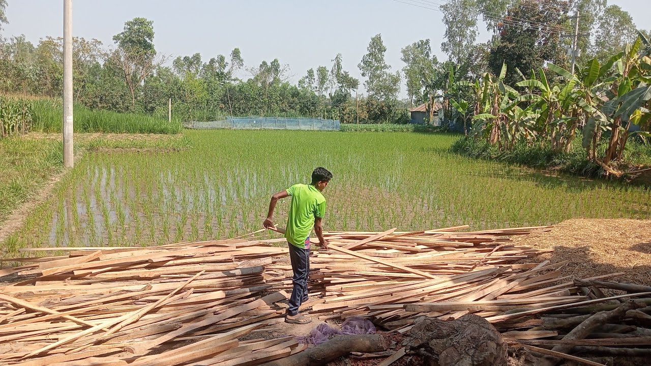 Asadul Sheikh is live! আমাদের বগুড়া ধুনট উপজেলা - YouTube