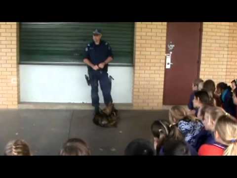 Queensland Police Dog Squad school visit - YouTube
