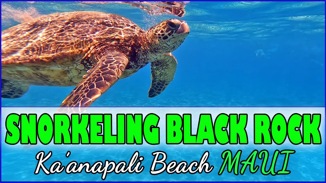 Best Snorkeling in Kaanapali Maui Black Rock Swimming With Sea Turtles ...