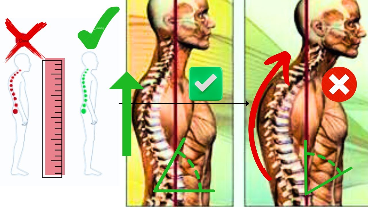 THE PERFECT 5 MINUTS POSTURE ROUTINE EXERCISE|INCREASE HIGHT |BACK PAIN ...