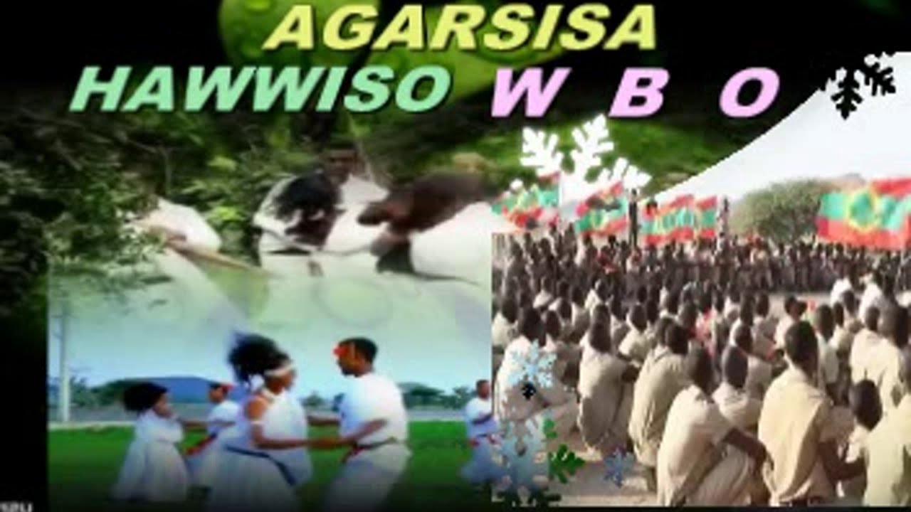 BEST OF OROMO HAWWISO WBO *GOTOLIIN OROMO|| AGARSIISA. - YouTube