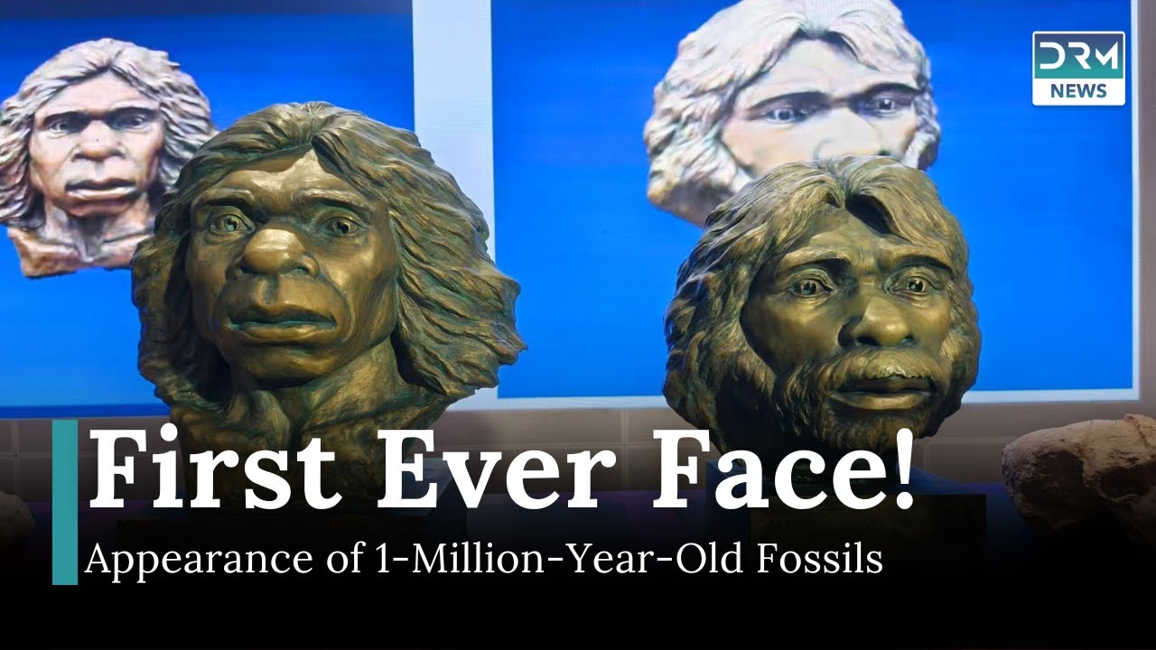 China Unveils Facial Reconstruction of Million-Year-Old Human Fossils ...