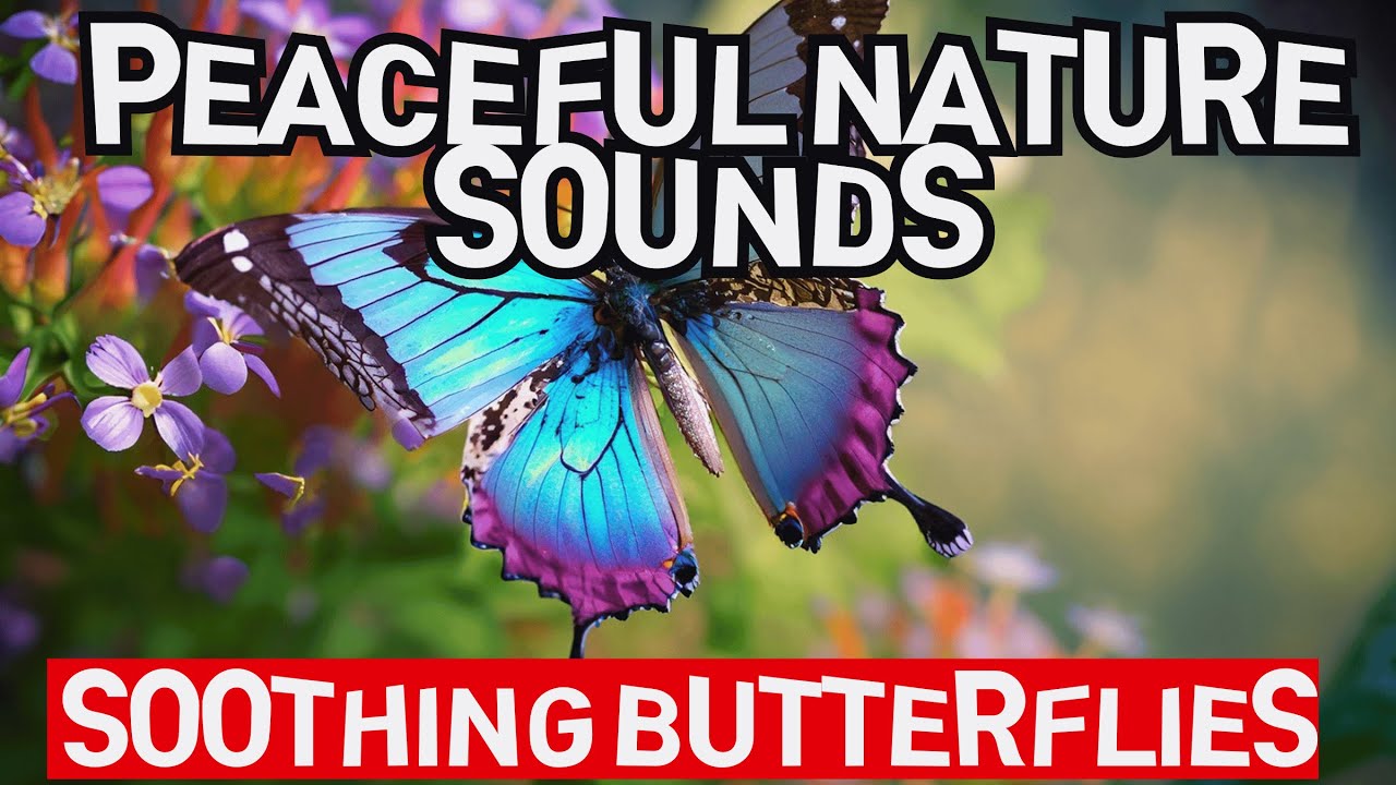 Relaxing Butterfly Garden 🦋 Peaceful Nature Sounds & Soothing ...