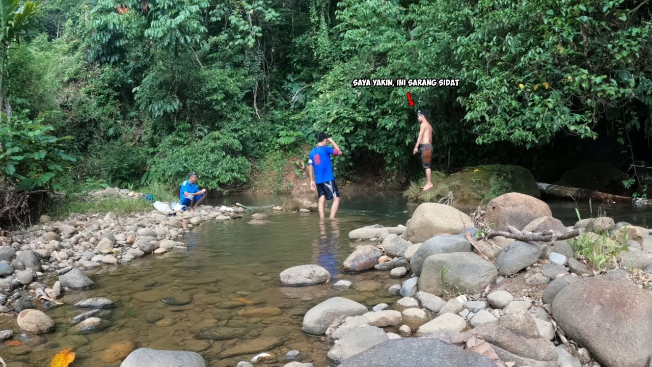 Petualangan Mencari Ikan Di Anak Sungai Dalam Hutan - YouTube