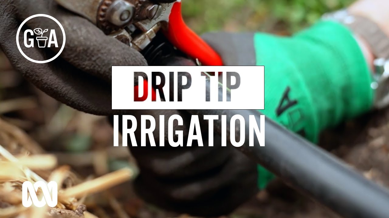 Irrigation Tips for Effective Watering | Gardening 101 | Gardening ...