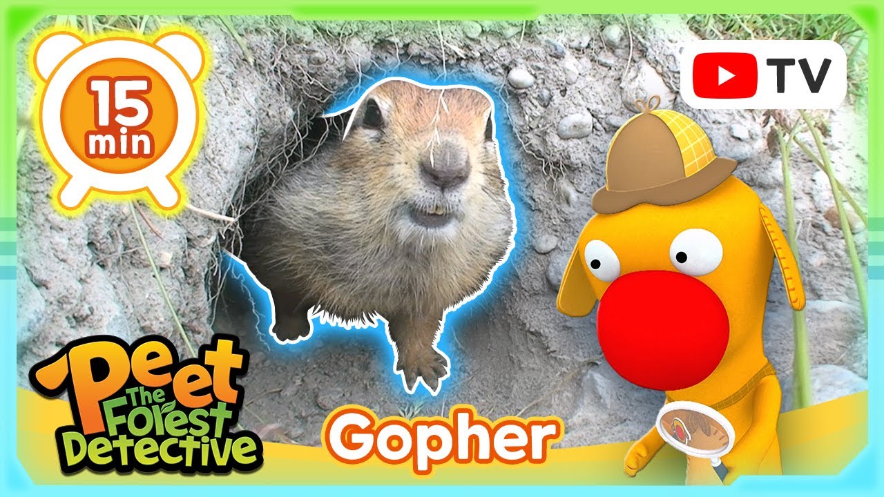The Great Gopher Patrol 🌟🌿 | Nature Stories For Kids | Peet The Forest ...