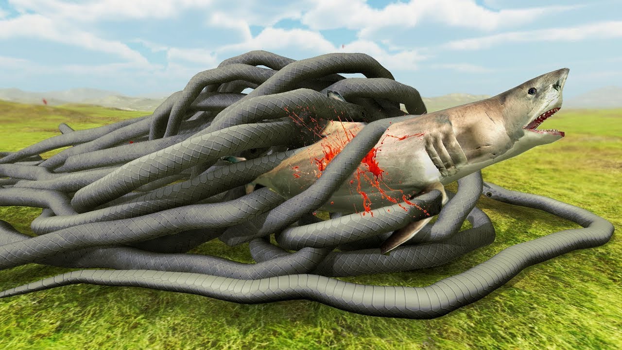 Shark Vs 100 Snake - YouTube