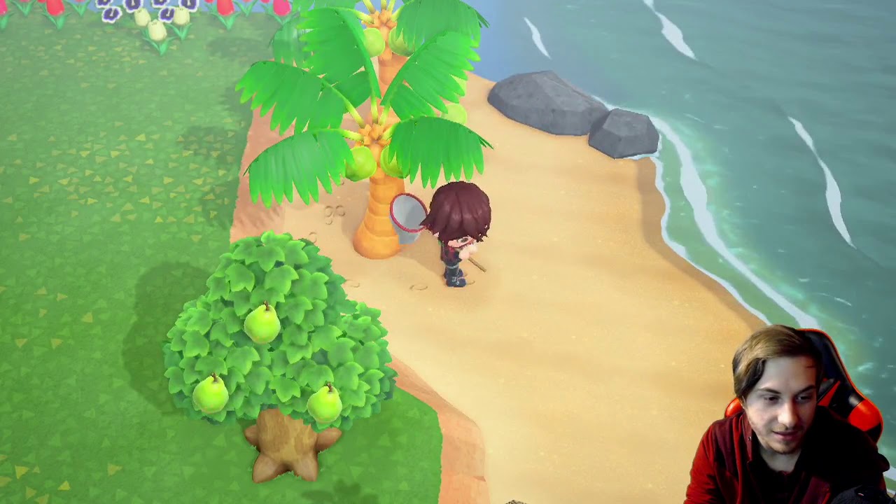 Daily animal Crossing stream! - YouTube