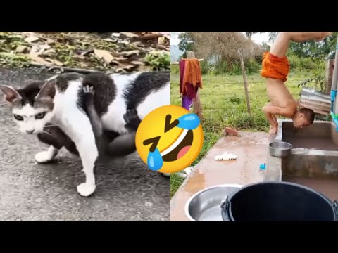 Video Lucu Viral Indonesia | Ketawa Sampai Lupa Waktu 🤣#videolucu #viralvideo