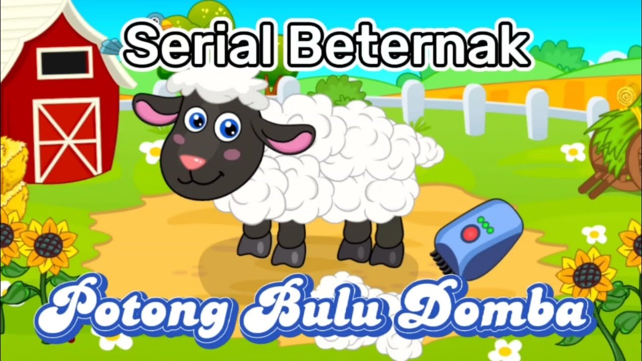 ANIMASI SERIAL BETERNAK POTONG BULU DOMBA SHEEP UNTUK PAUD TK KIDS ...