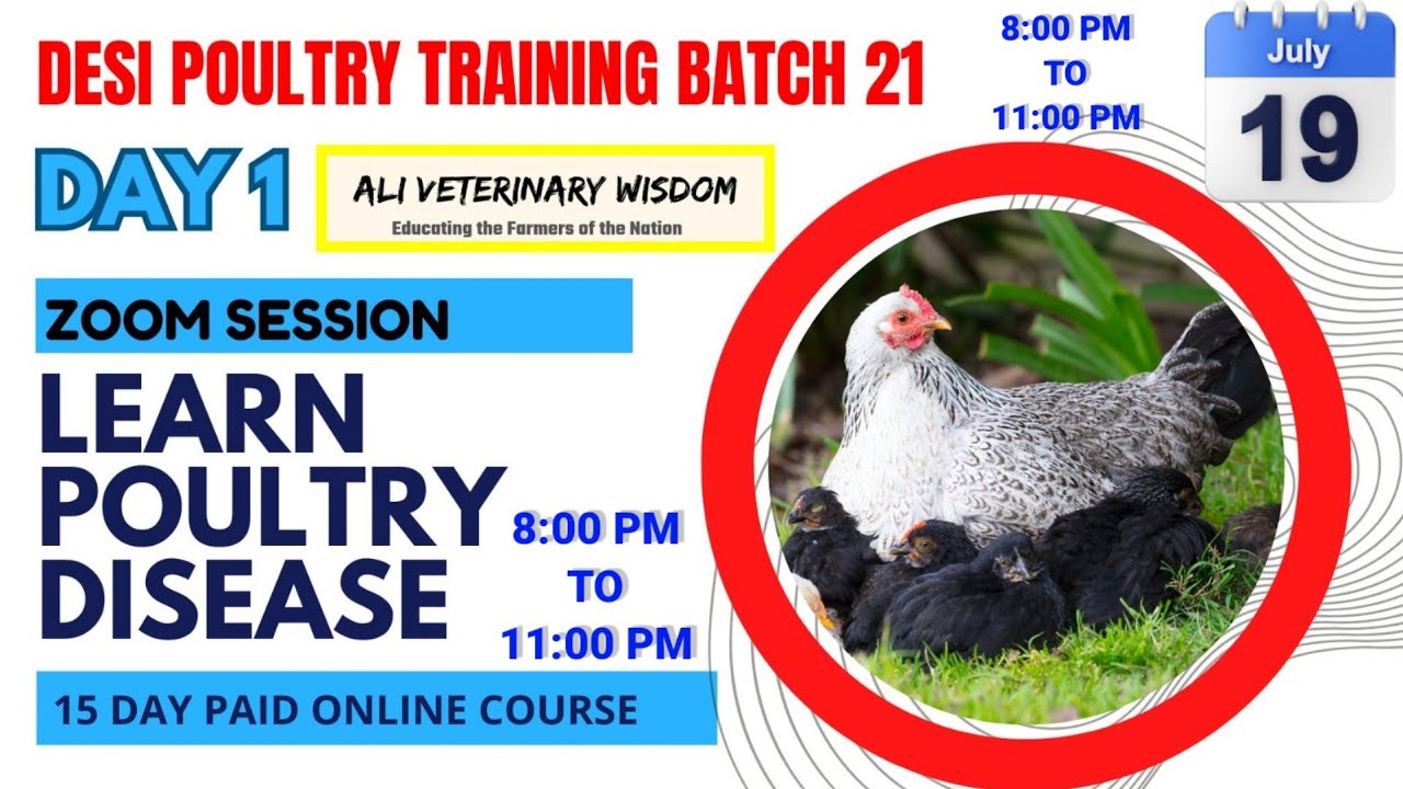 ऑनलाइन पोल्ट्री फार्म ट्रेनिंग!!online poultry training!!online poultry ...