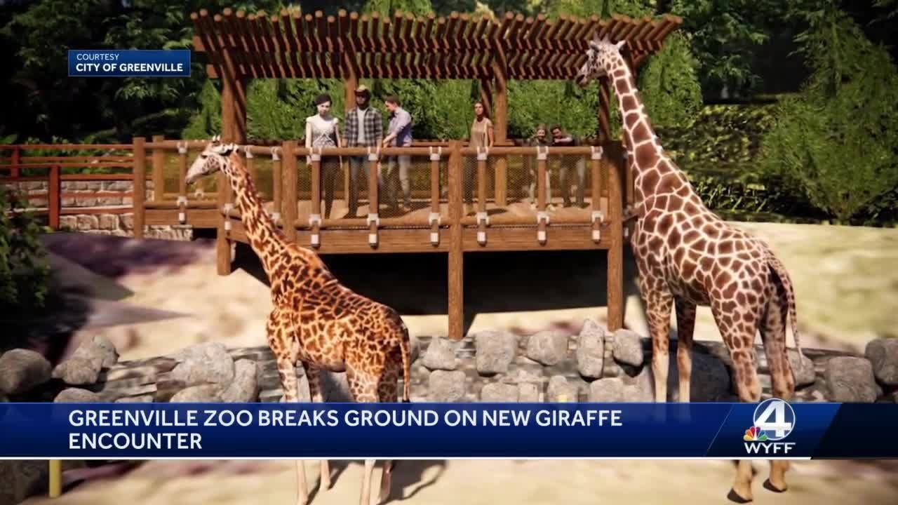 Greenville Zoo Greenville Zoo Wikipedia