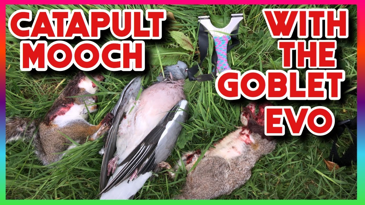 Mini Mooch With The Evo. - YouTube