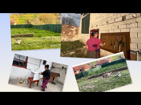 Bol projeli bir gün oldu