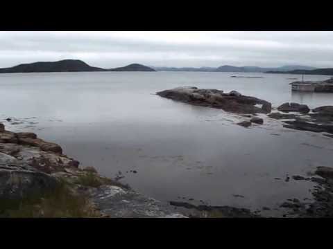 A few pics and clips of Burlington Newfoundland!! - YouTube